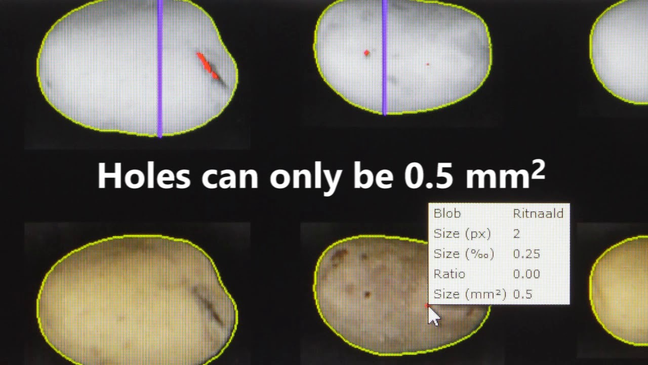 Smart Grader by Gejo, sorting Potatoes affected by wire worms - YouTube