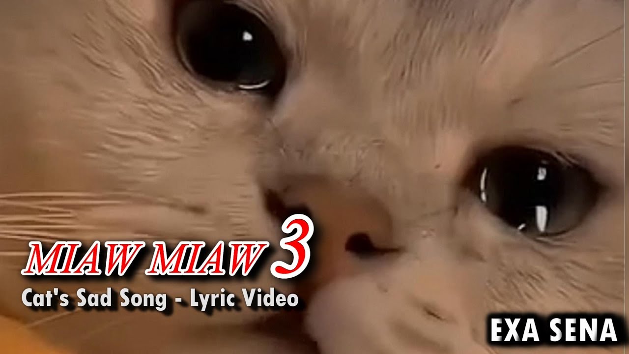 MIAW MIAW 3 - Lagu Kucing Sedih - Cat's Sad Song Lyrics Video - YouTube