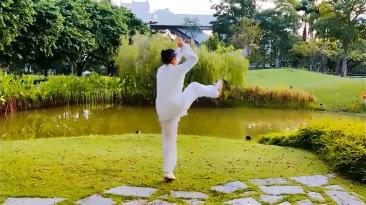 Chen style Tai Chi 18 Form 陈氏太极拳精要18式 - YouTube