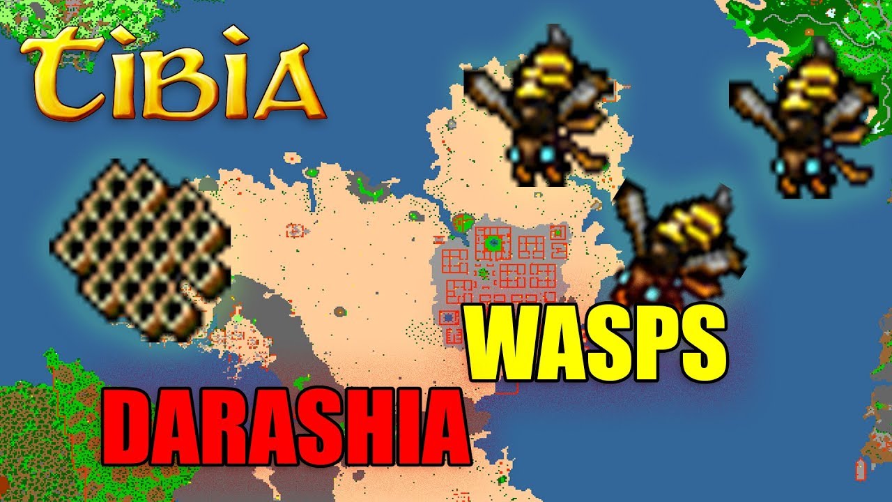OSY Daramy - WASP TOWER DARASHA I INNE - Tibia - PORADNIK - YouTube