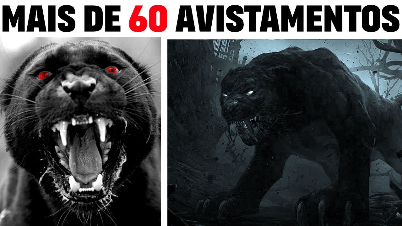 A BESTA DE BODMIN MOOR: Pantera Negra, Mito ou Criatura Desconhecida ...