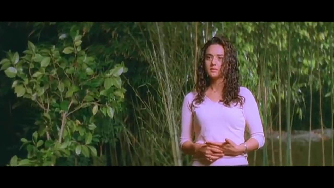 Tanhai full song Aamir Khan and Preity Zinta - YouTube