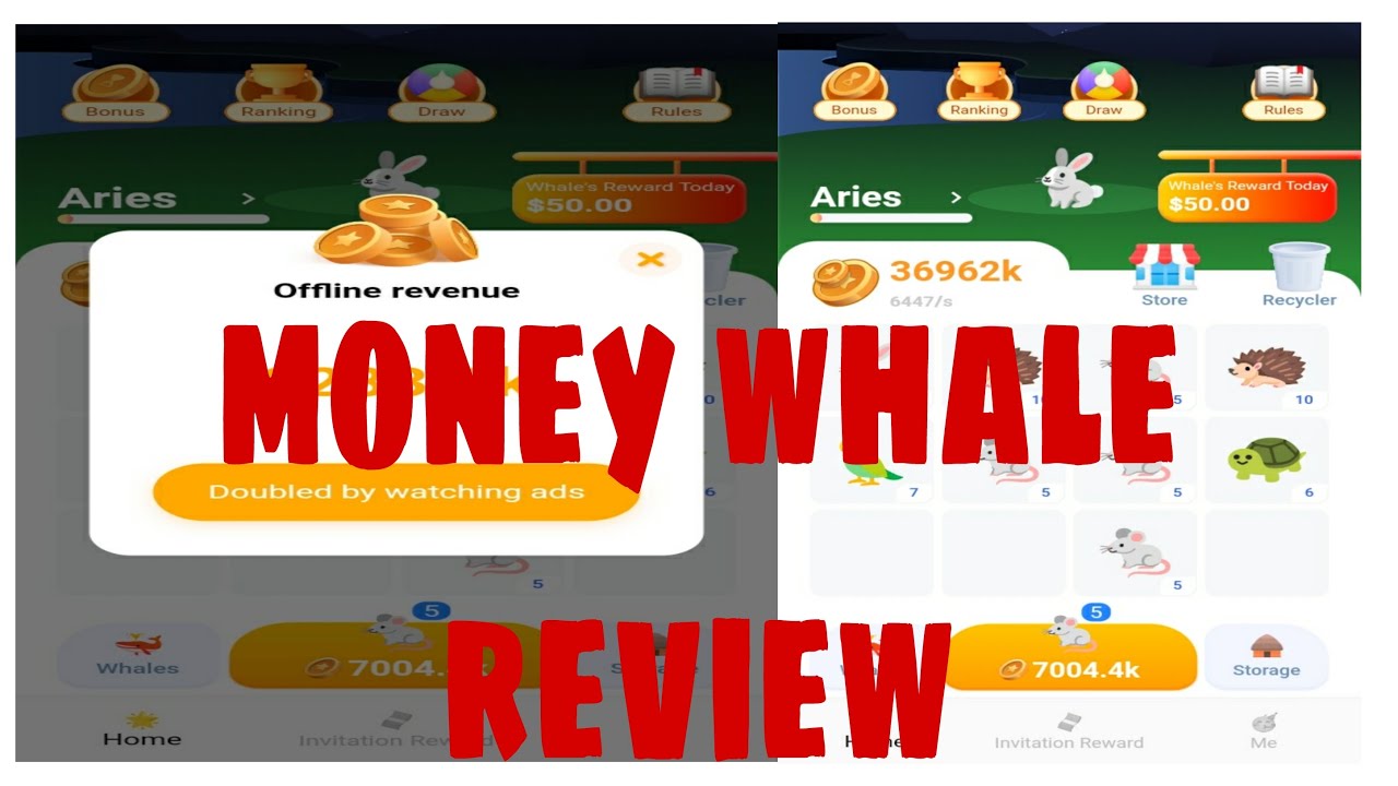 MONEY WHALE REVIEW - YouTube
