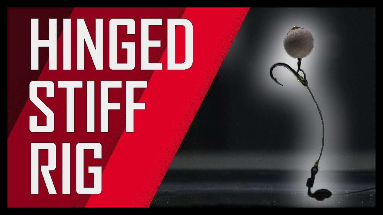 CÓMO hacer el HINGED STIFF RIG - Montaje de CARPFISHING para POPUP ...