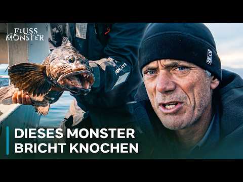 Alaskas Todes-Seen: Die Jagd nach dem 6 Meter Urvieh | Fluss Monster