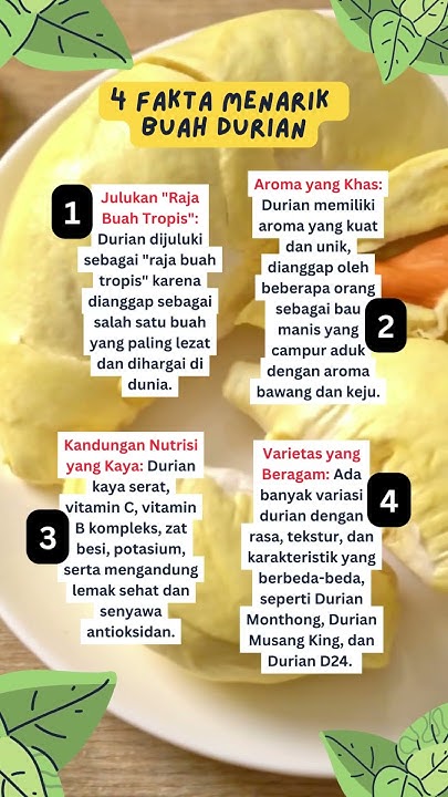 4 Fakta Menarik Buah Durian - YouTube