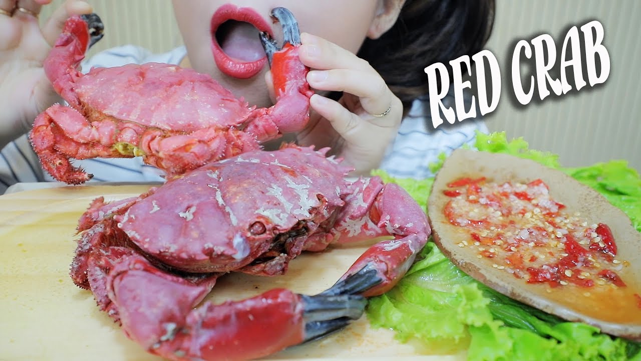 ASMR RED CRABS (EXOTIC FOOD) MESSY CRACKLING EATING SOUNDS | LINH-ASMR ...
