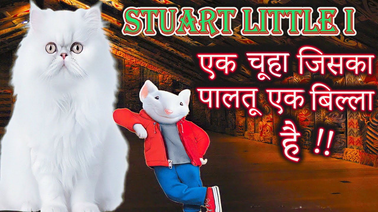 Stuart Little 1 Plot Review Explaned IN Hindi & Urdhu - YouTube