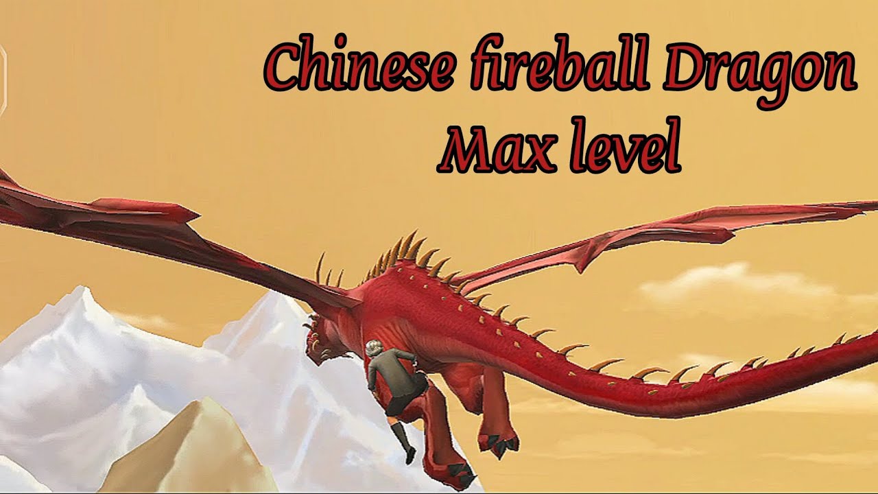 CHINESE FIREBALL DRAGON Max level - YouTube