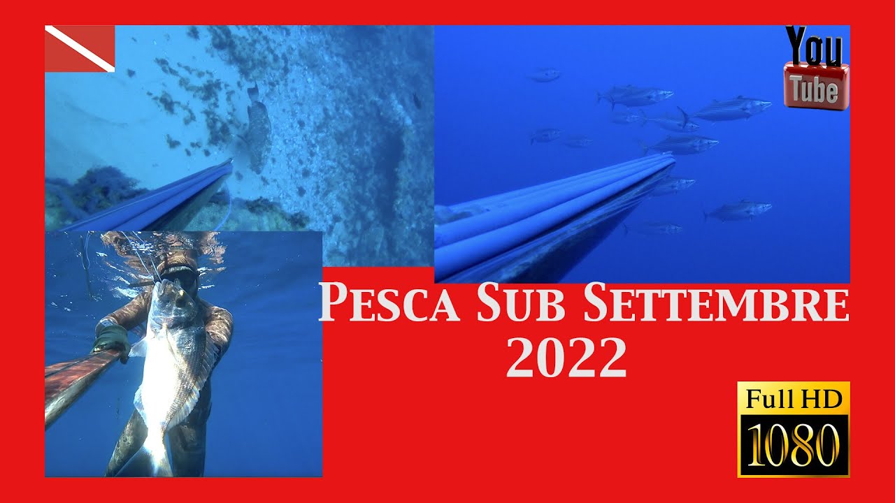 Pesca sub Settembre 2022 con Cernione 16 kg - YouTube