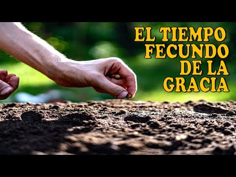EL TIEMPO FECUNDO DE LA GRACIA - YouTube