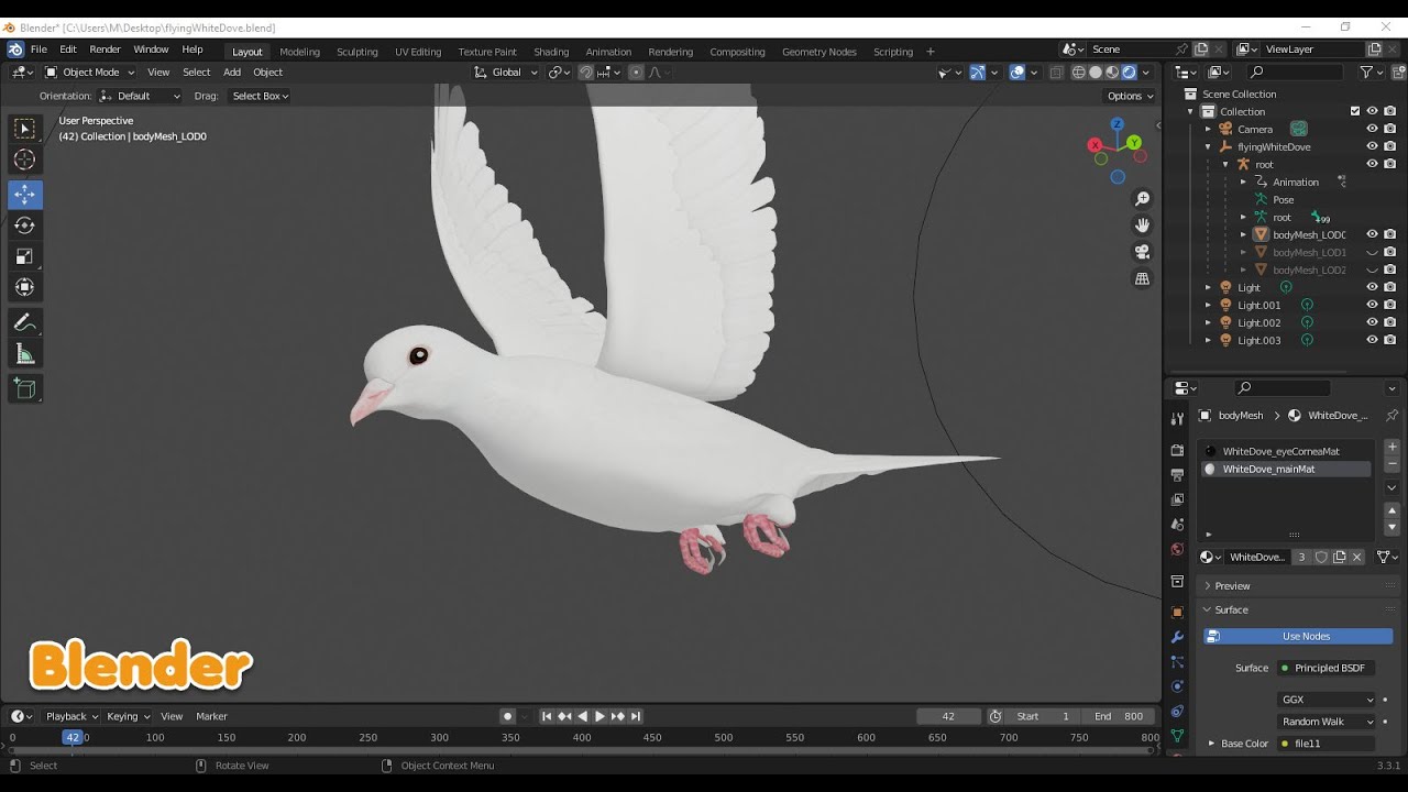 Realistic Animated White Dove Low-Poly 3d Model _ testing in Blender ...