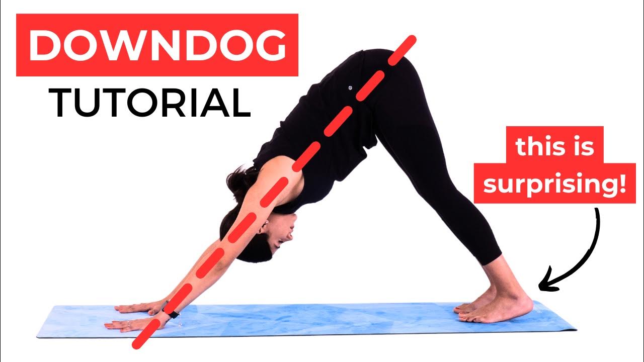 How to do Downward Facing Dog | Yoga for Beginners Pose Tutorial - YouTube