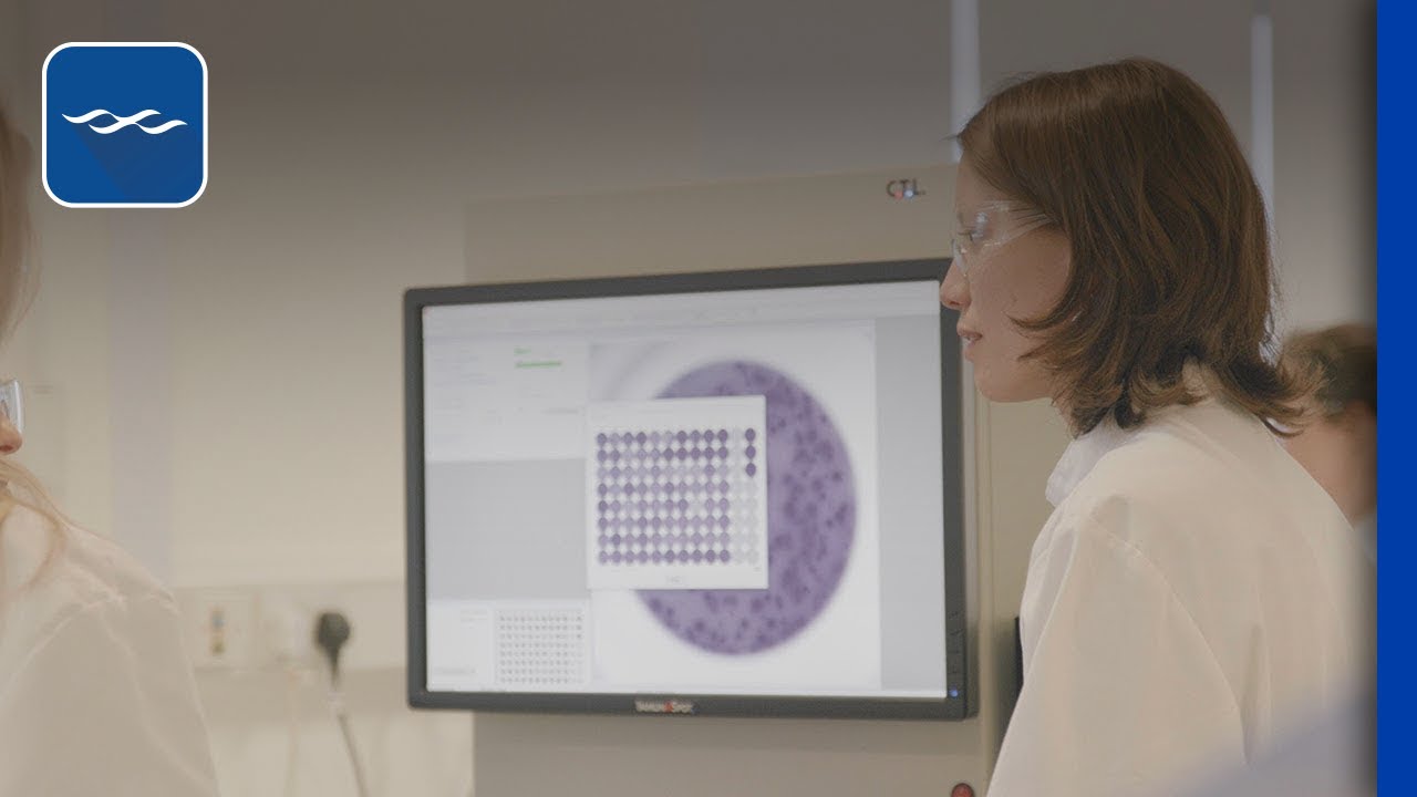 Adoptive T Cell Transfer Model for Screening - YouTube