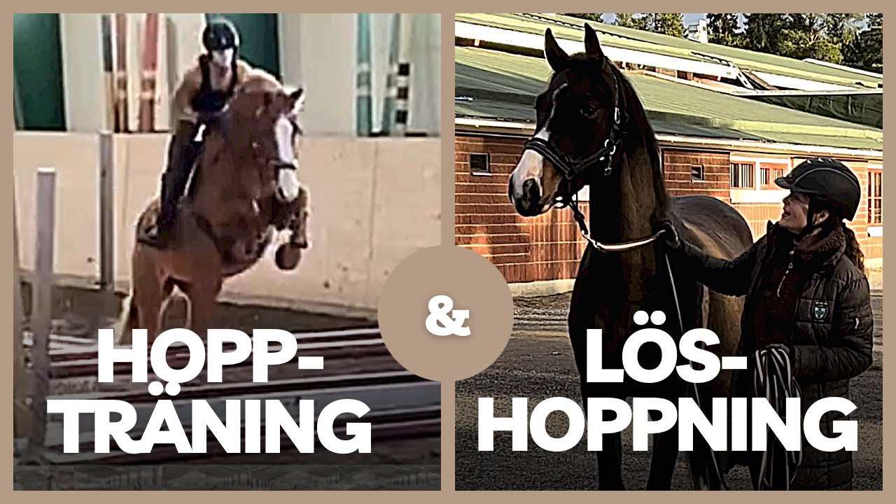 Hoppträning och löshoppning igen | Stallvlogg 42 | - YouTube