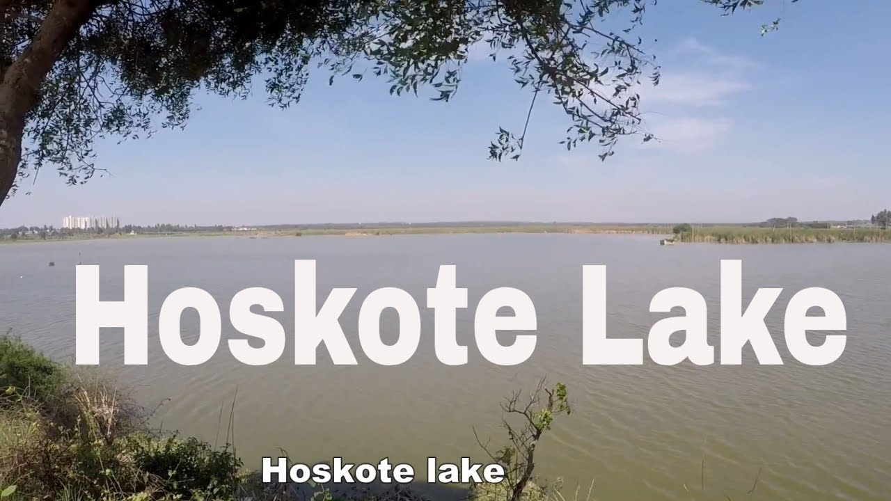 Hoskote Lake: Grassland & Birds Paradise - YouTube
