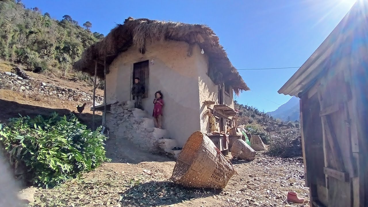 This is Himalayan life |Poor but beautiful Himalayan daily life ...