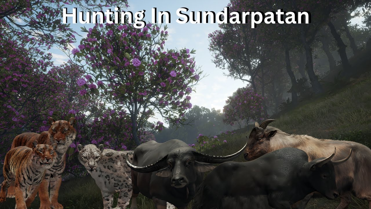 First Hunt On Sundarpatan - theHunter CotW - YouTube