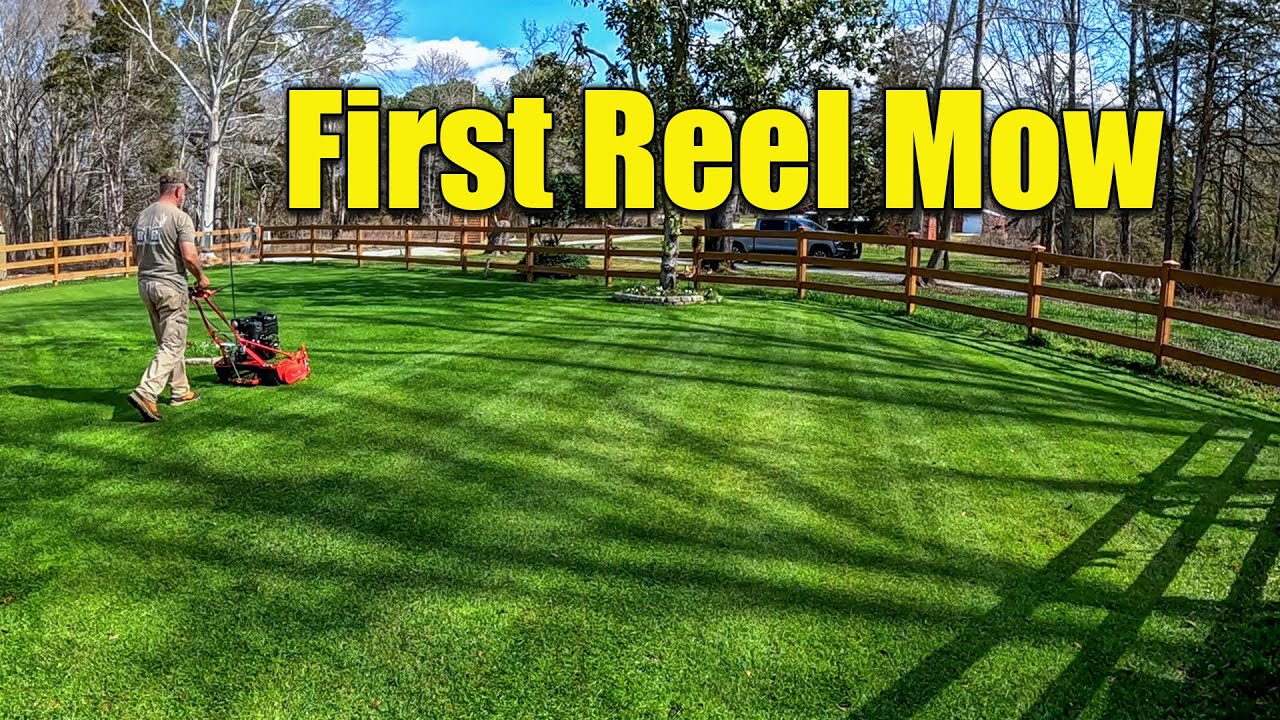 First Mow Of The Season