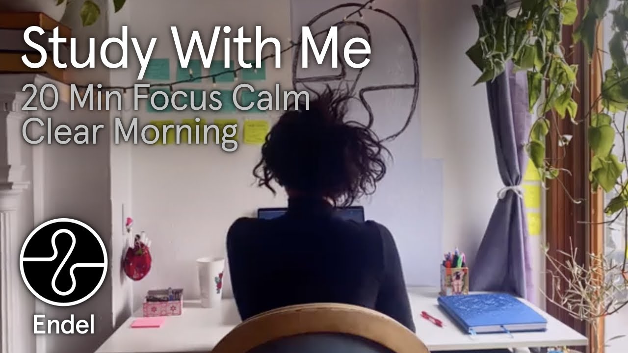 Study With Me: 20 Min Focus Calm Clear Morning | Endel - YouTube Music