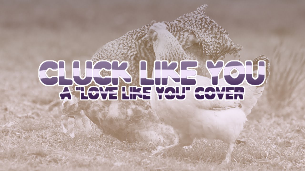 Chicken Universe - Cluck Like You // A "Love Like You" Cover - YouTube