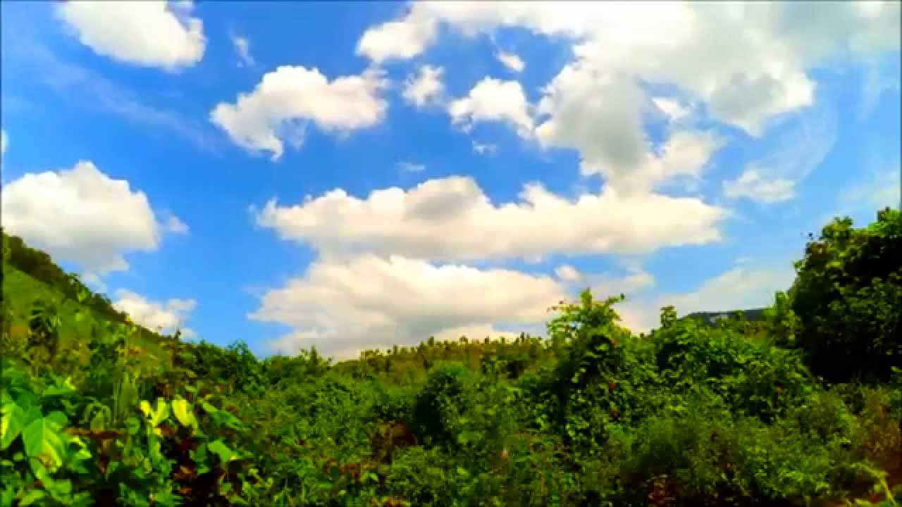 SKY view from forest area - YouTube