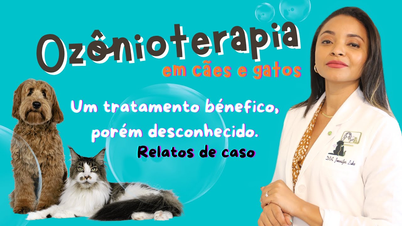#OZÔNIOTERAPIA EM CÃES E GATOS. UM TRATAMENTO BENÉFICO POUCO CONHECIDO ...