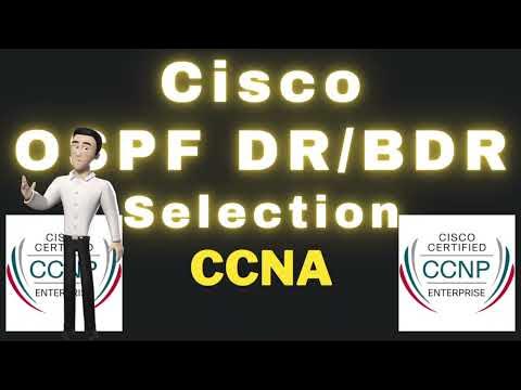 How to configure CISCO OSPF DR BDR Election | CCNA | CCNP - YouTube