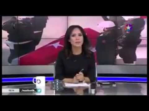 Vatan delisi