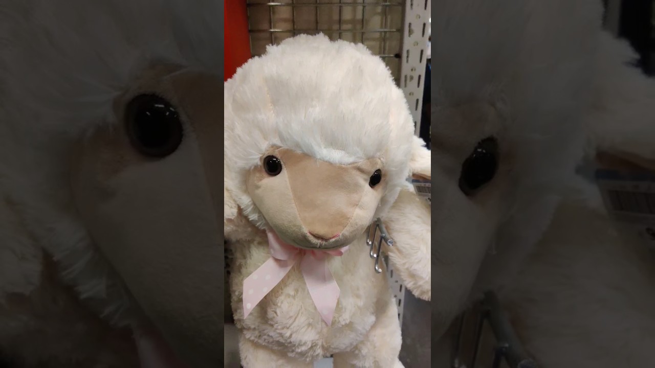 Teddy - YouTube