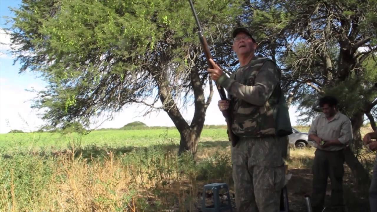 Southern Lodges Wingshooting in Argentina - YouTube