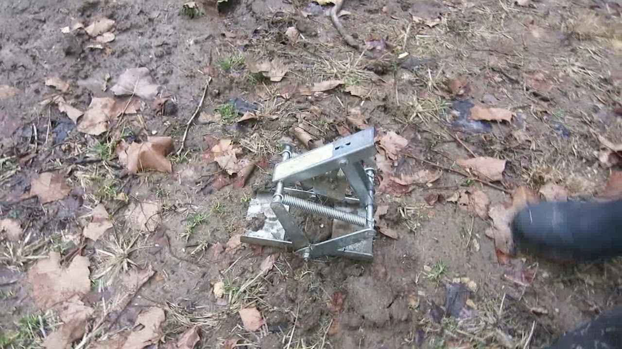 mole hunting 2018 my new mole video - YouTube