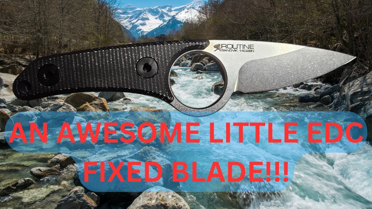 Streamline Your Day: The Routine by Arena Accessories! - YouTube