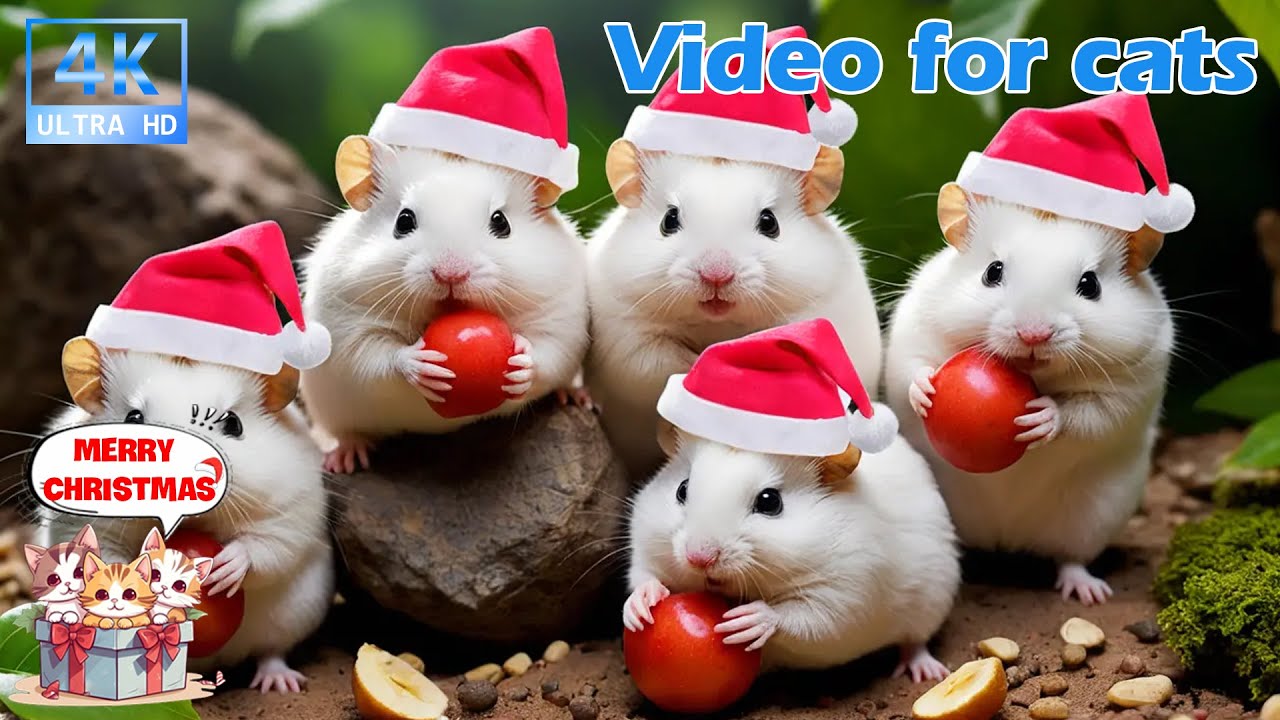 Sneaky Explorers: Mice Invading the Wild 🐭🌿 - YouTube