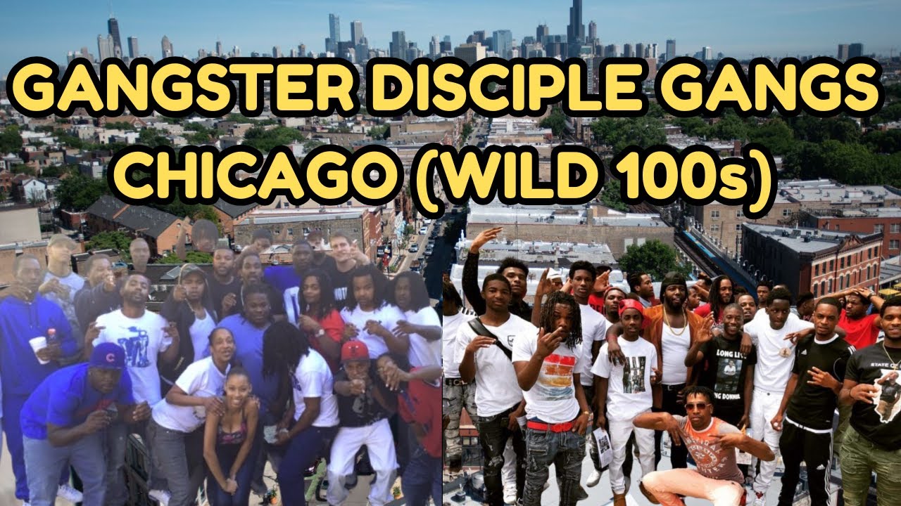 Inside Chicago’s Wild 100s: The Rise of the Gangster Disciples Gangs ...