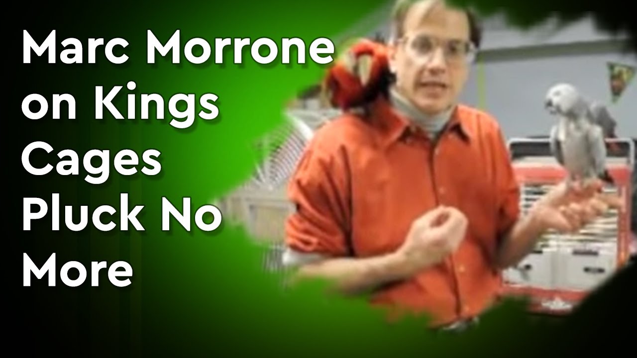 Marc Morrone on King's Cages Pluck No More - YouTube