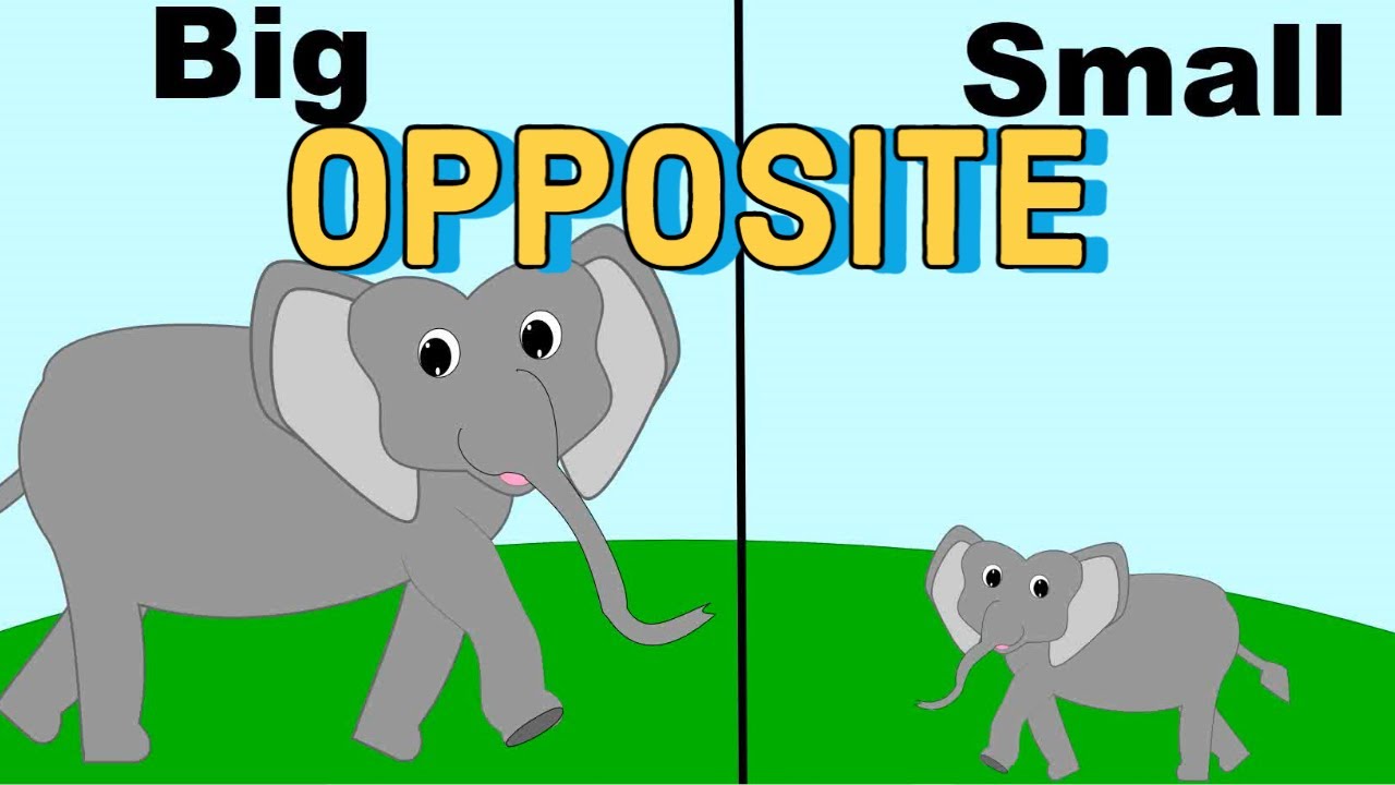 Opposite words for kids| Best video to learn opposite English words ...