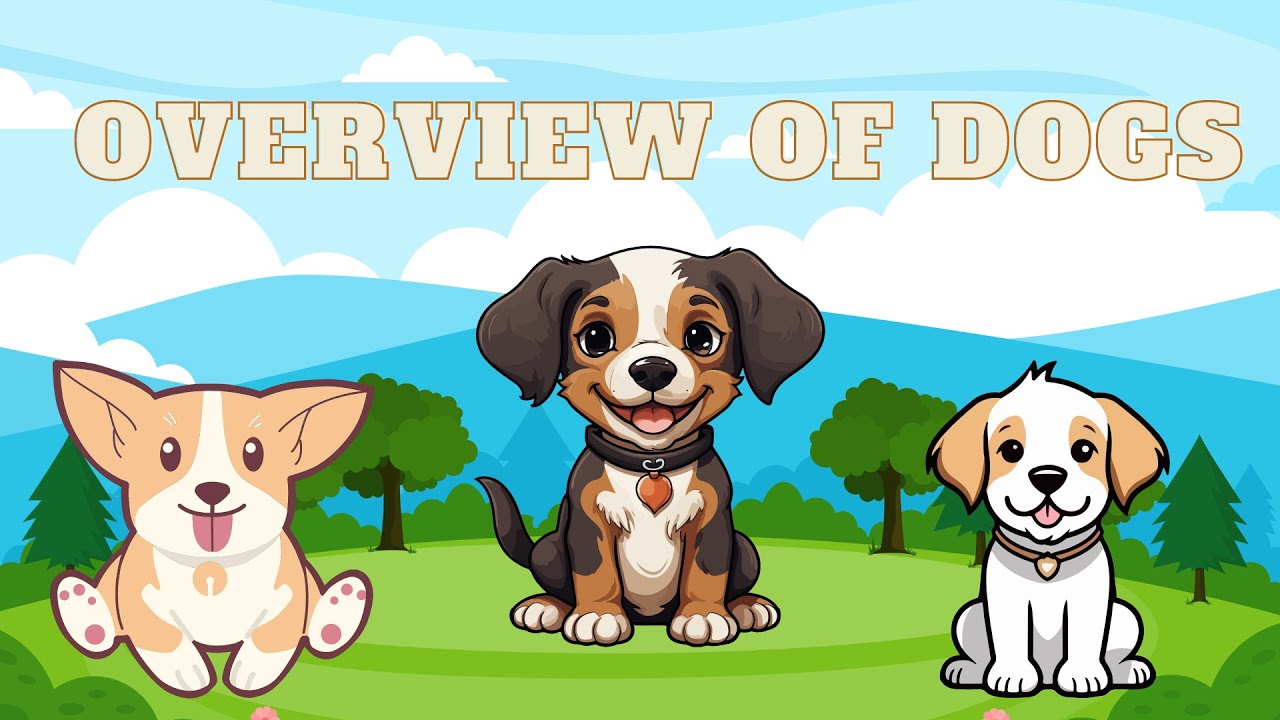 Animal World - Overview of Dogs - Dogs - YouTube