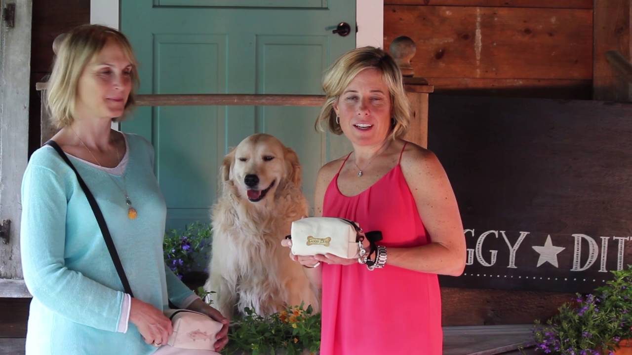 Doggy Diddy - Shark Tank - YouTube