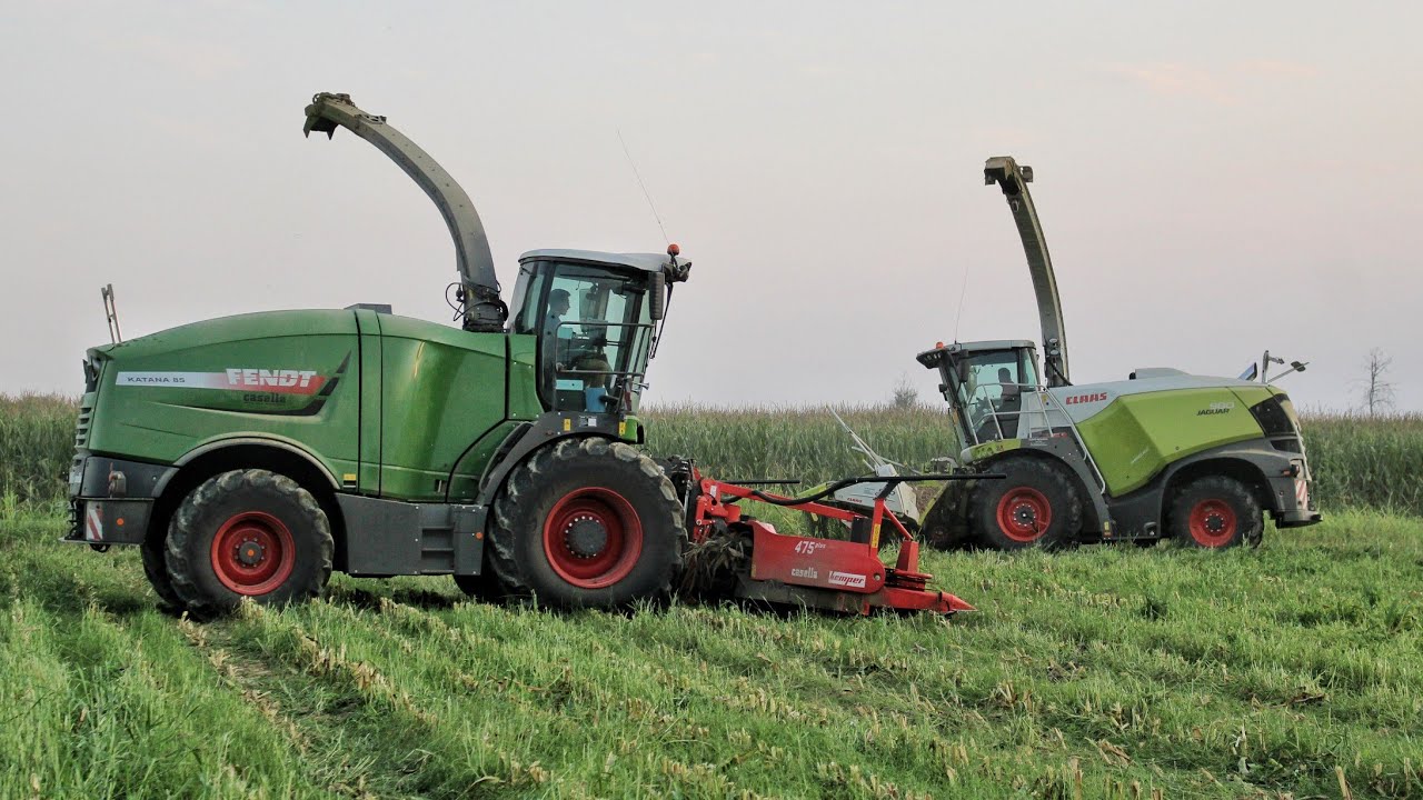 CORN SILAGE IN ITALY Fendt Katana 85 | New Jaguar 980 Shredlage ...