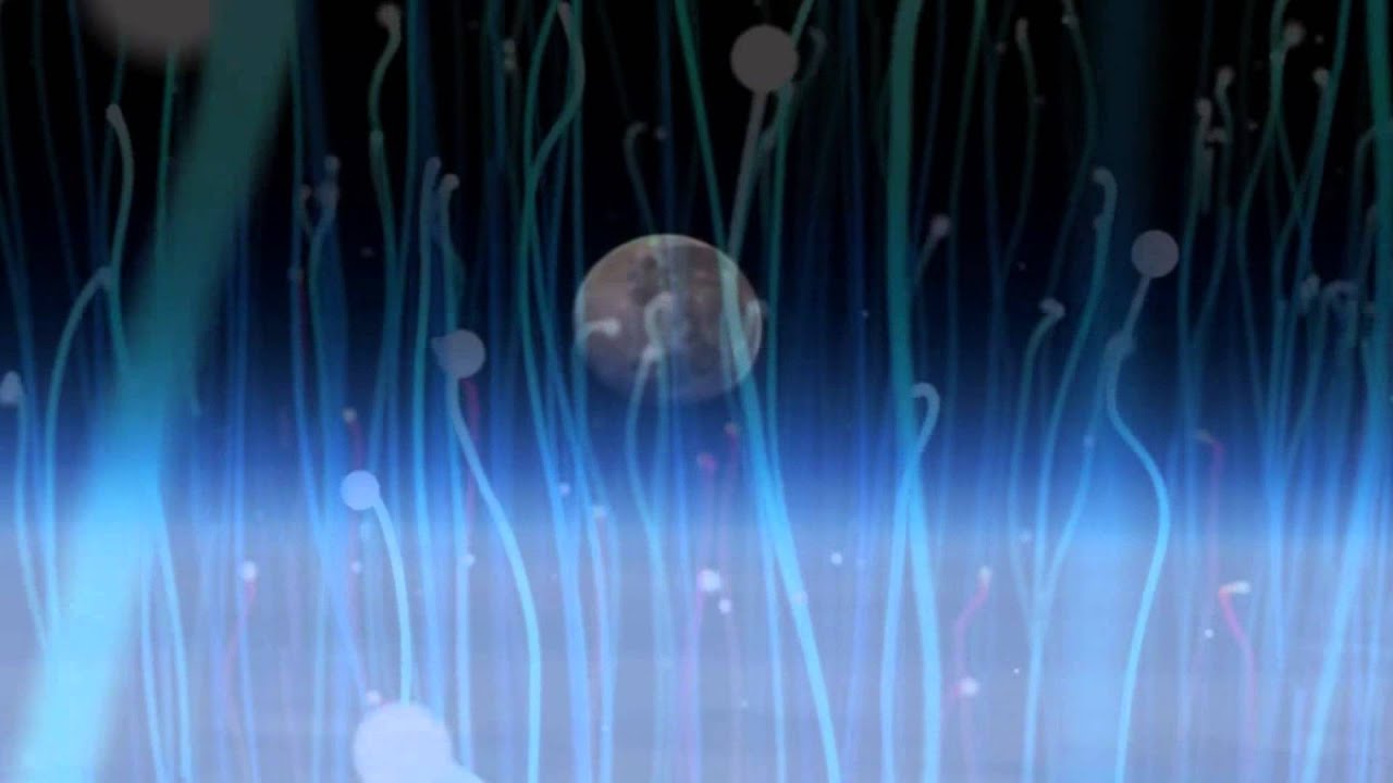 LLDM; Salmo 24 David Arreguín - YouTube