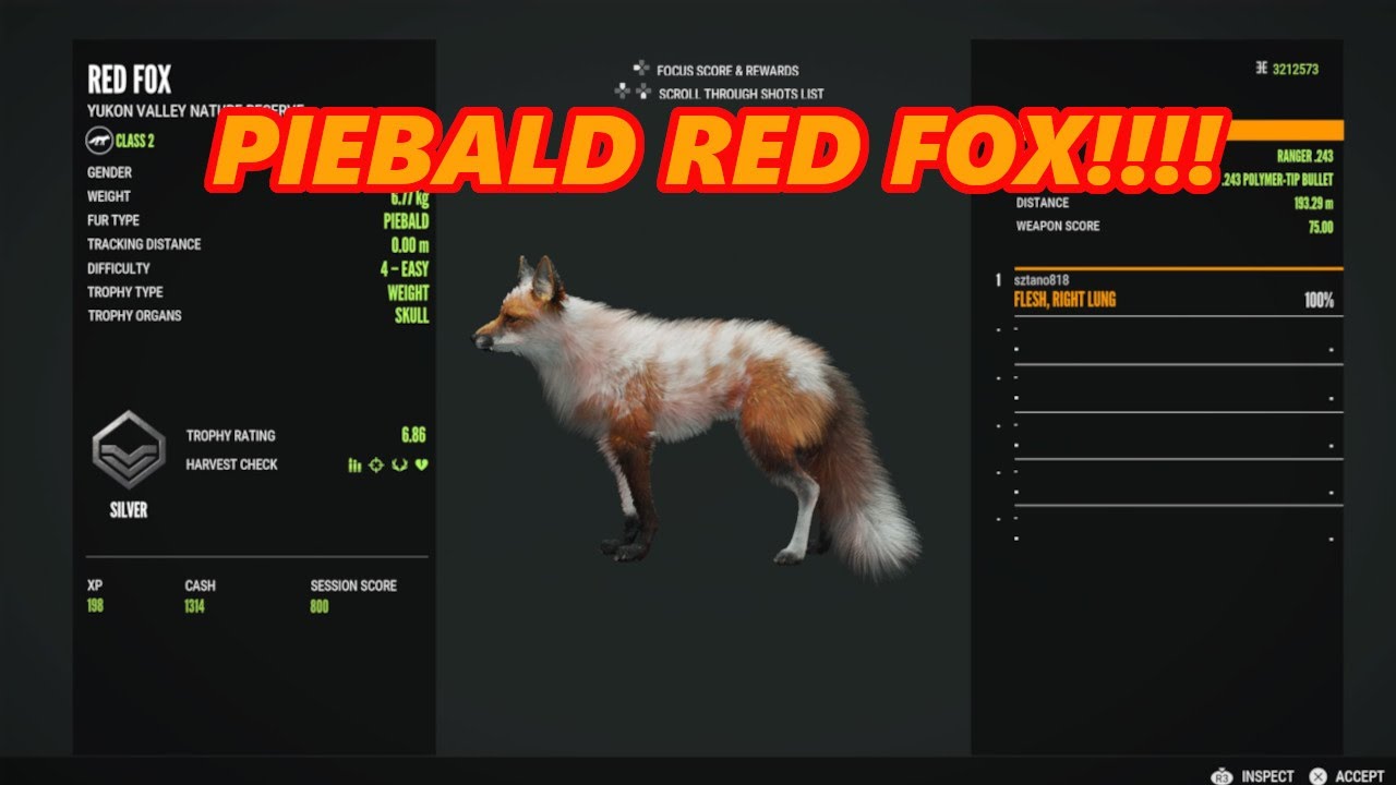 TheHunter: COTW PS5 Diamond and rare highlights #39 - YouTube