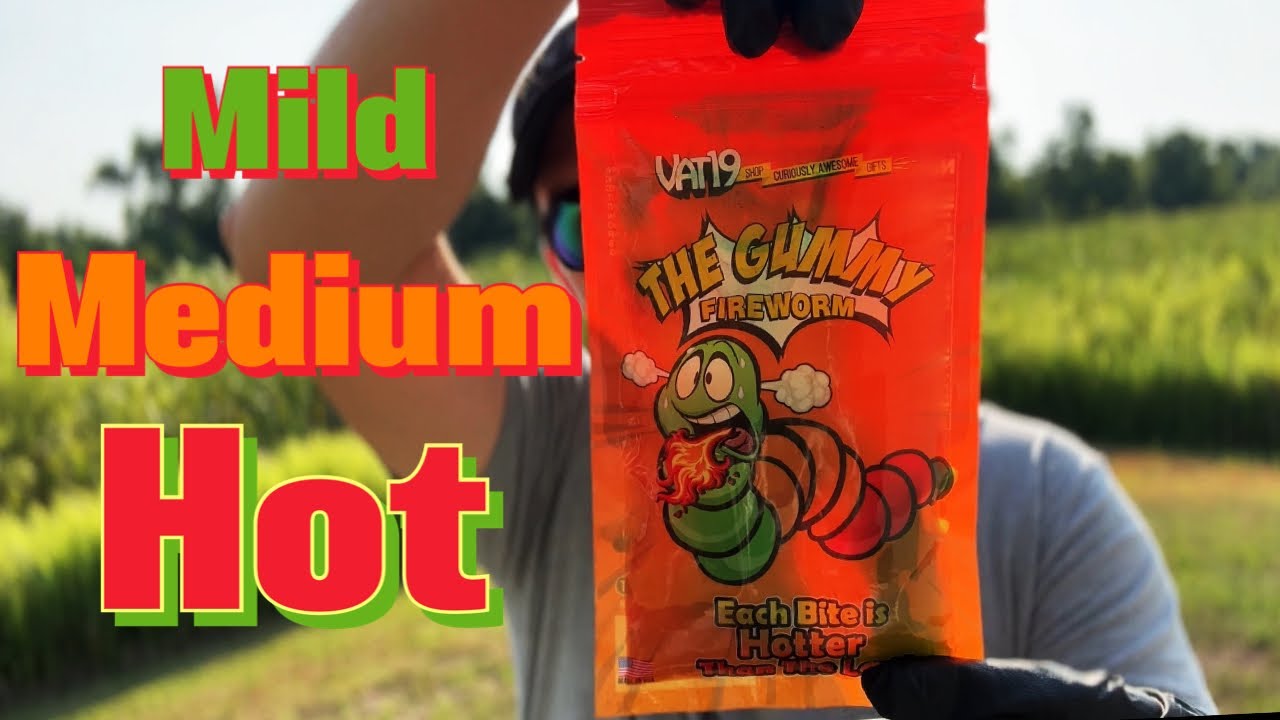 THE GUMMY FIREWORM by VAT19 | Honest Review 🤨😂 - YouTube