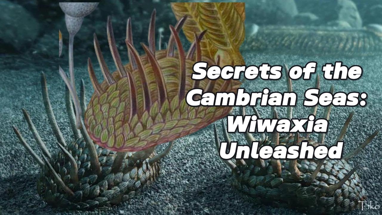 Lost in Time: The Hidden Life and Extinction of Wiwaxia Unraveled | Ancient Wonders Revealed ...