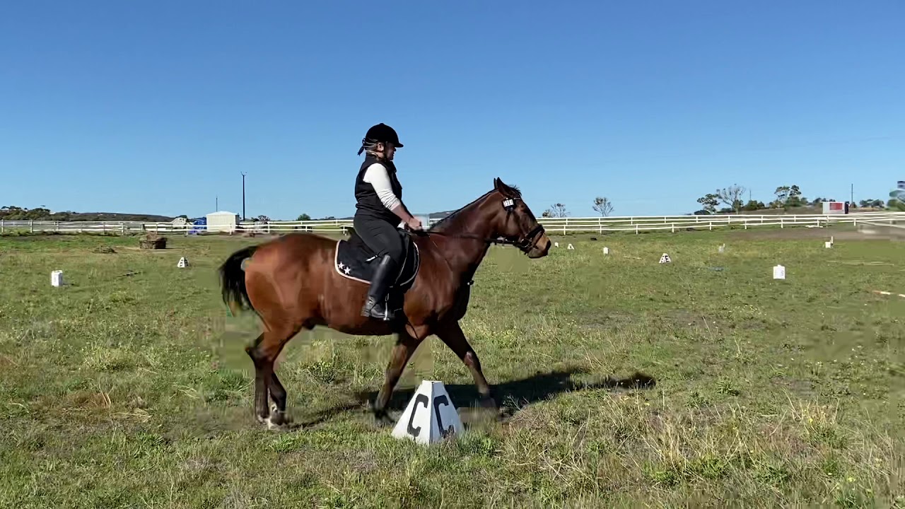 Sarah Preuss 1.B - YouTube