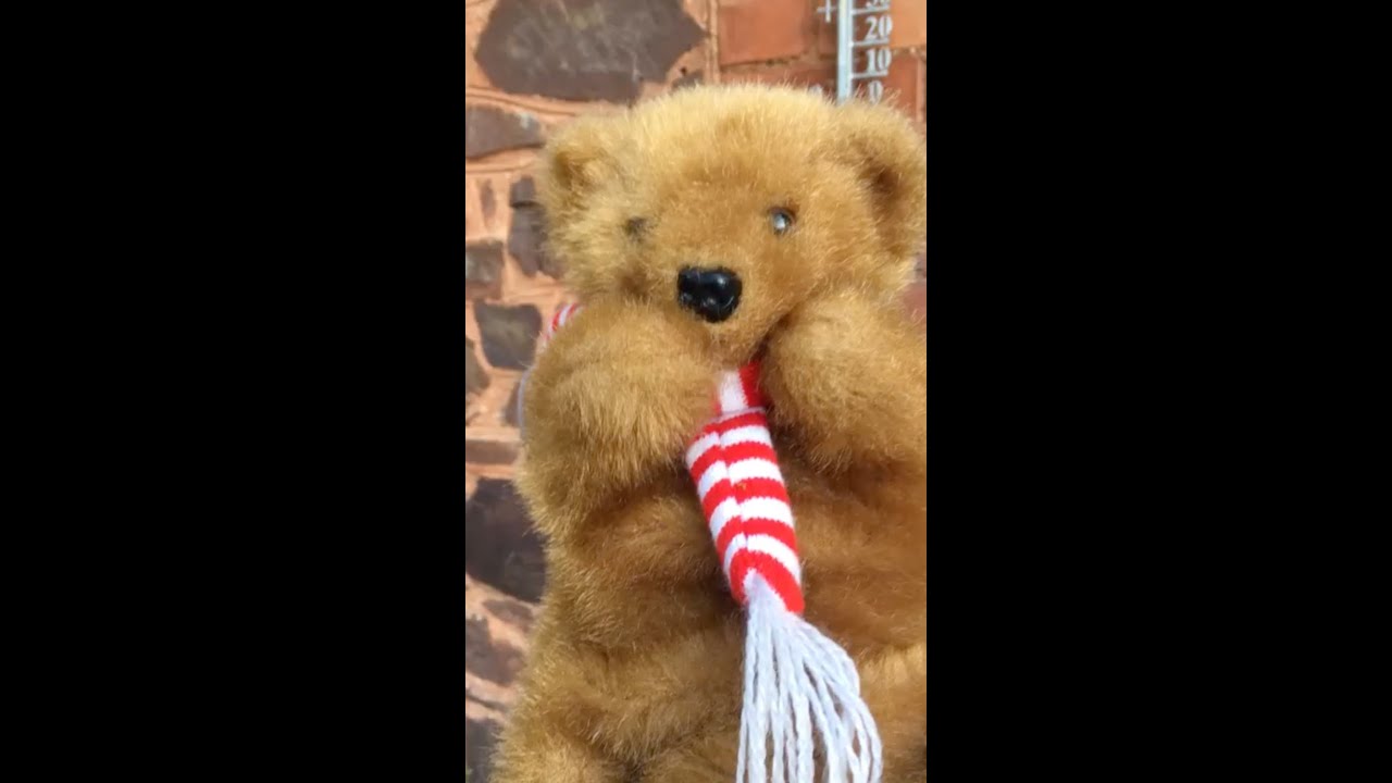 Adventures of Barney The Bear - Barney visits special friends - YouTube