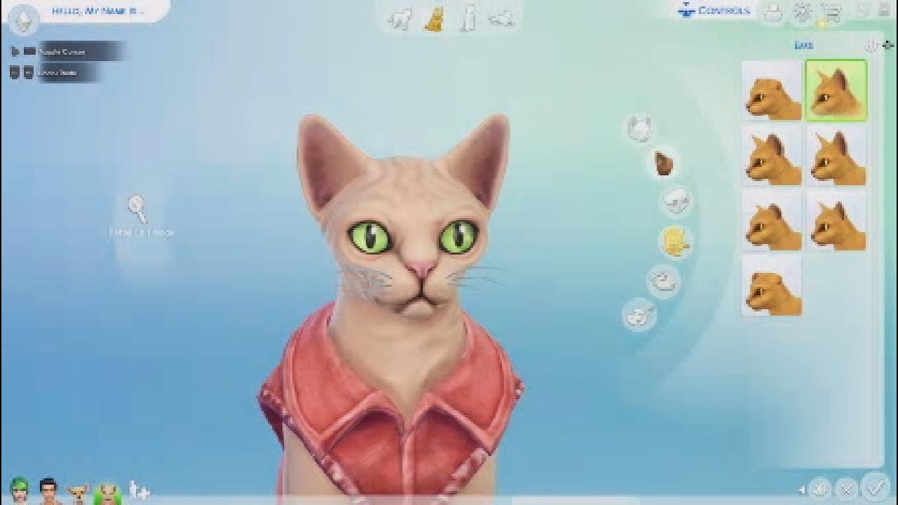 The Sims 4™ - P373 ~ Adding A Chihuahua & Sphynx To Rydia's Household ...