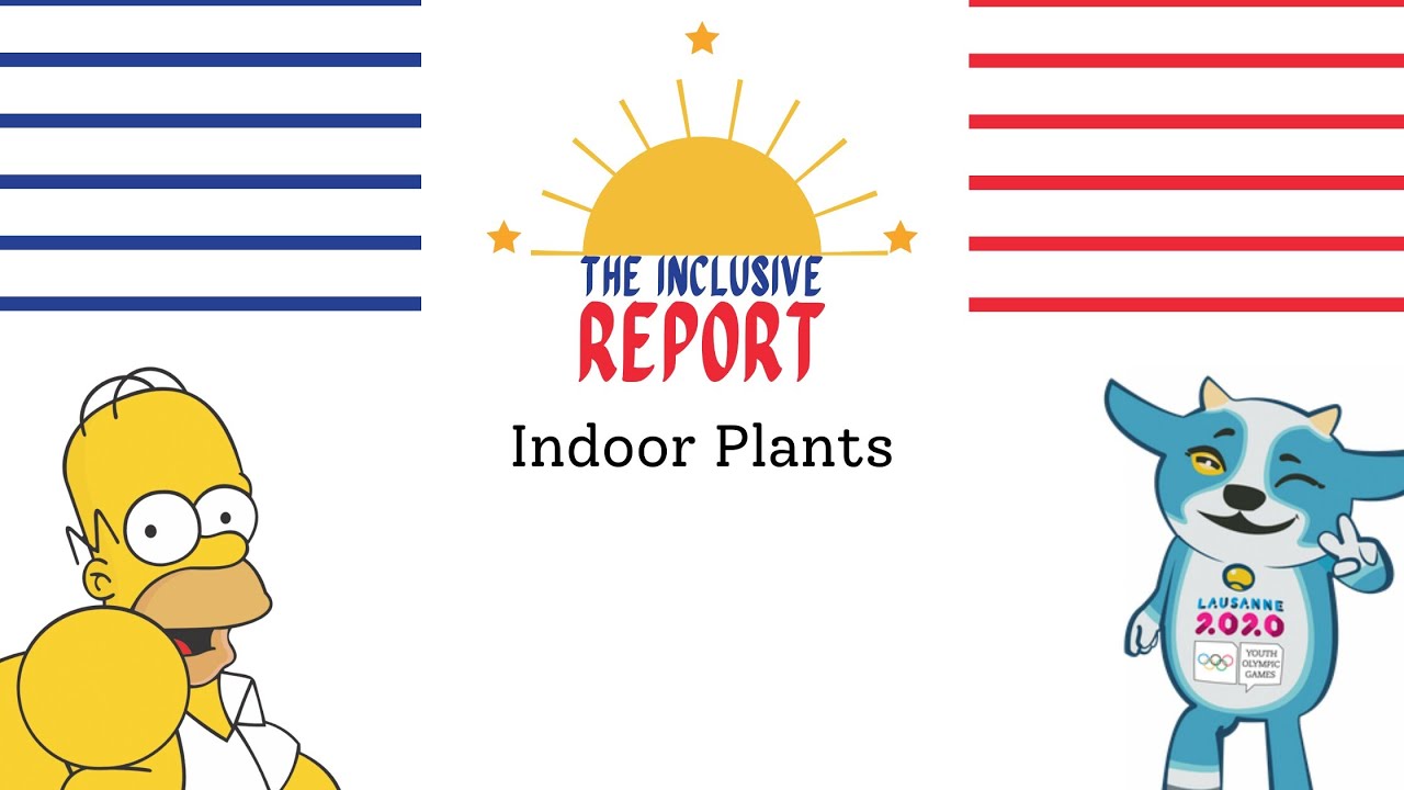 The Inclusive Report - Indoor Plants - YouTube