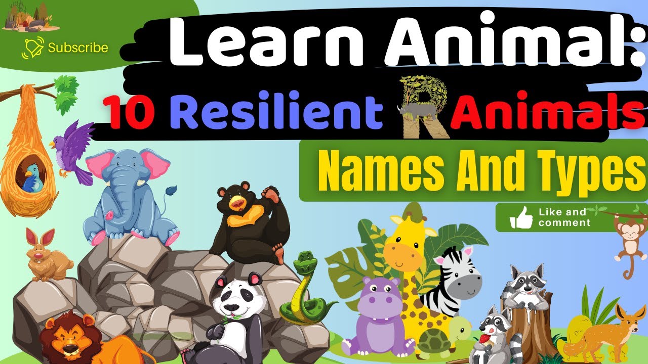 Learn Animal Names | R is for Remarkable Residents | 10 Resilient R ...