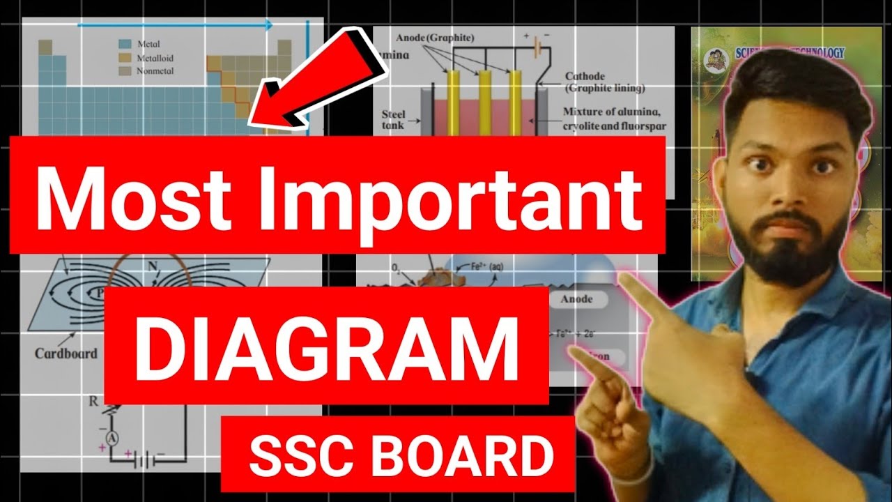 Class 10th science part 1 most important Diagram | science 1 All ...